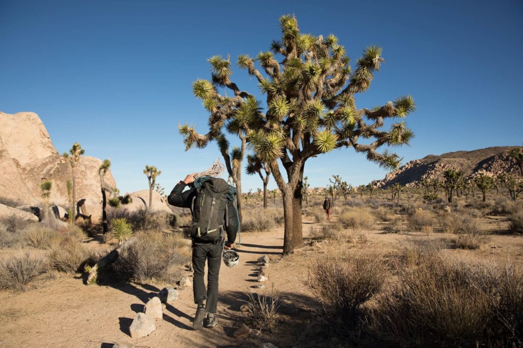 Your Joshua Tree rock climbing cheat sheet – The Glassy